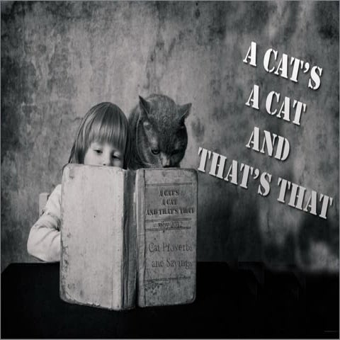 A cat's a cat and that's that. | PPS