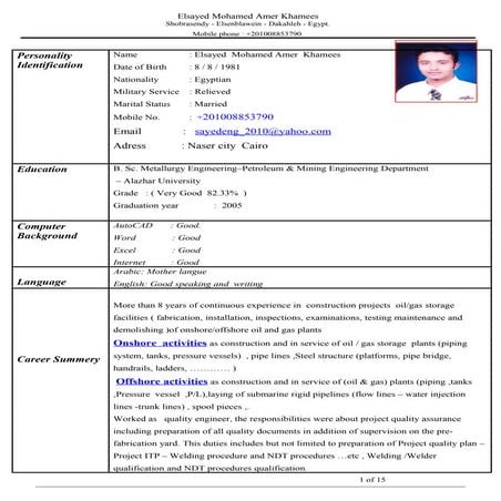Elsayed Amer CV | DOC | Civil Engineering Industry | Industries
