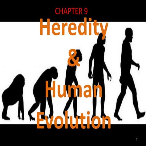 Human Evolution The branch of biology which deals with heredity and ...