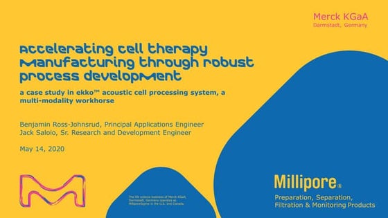 Sophisticated Gene Synthesis & Cloning is Easy at Creative Biogene | PPTX