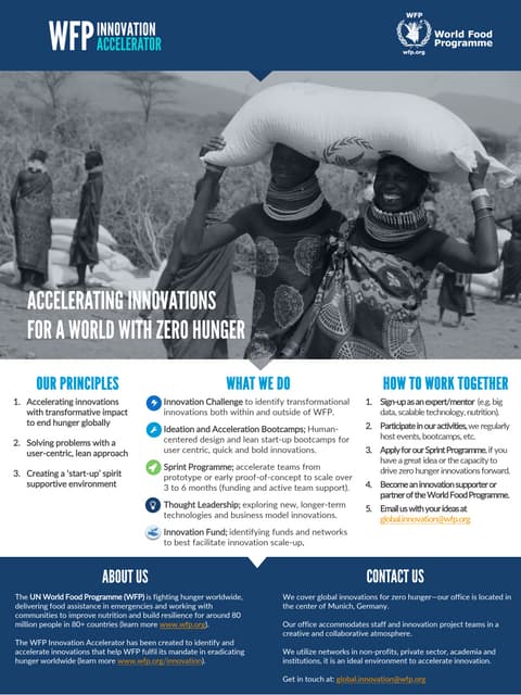 2015 WFP Aviation at A Glance (Infographic) | PDF