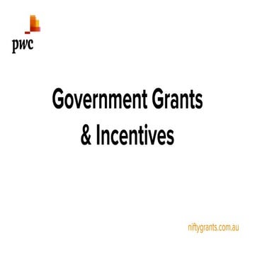Government Grants & Incentives to Power Your Startup | PPTX