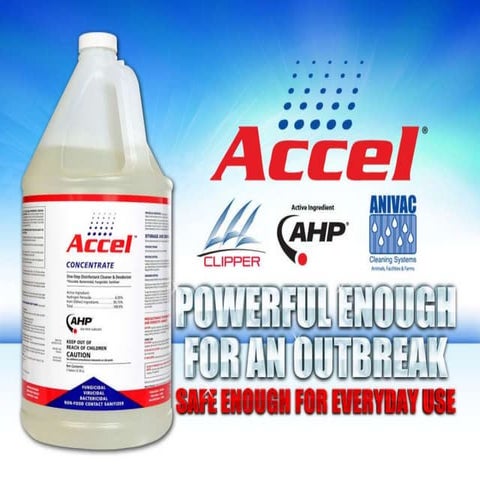 New Technology in Disinfectants | PPTX