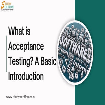 What is Acceptance Testing? A Basic Introduction | PDF