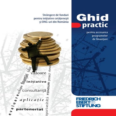 Accesare fonduri ONG | PDF