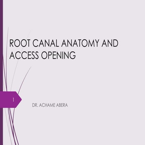 Anatomy of dental pulp.pdf
