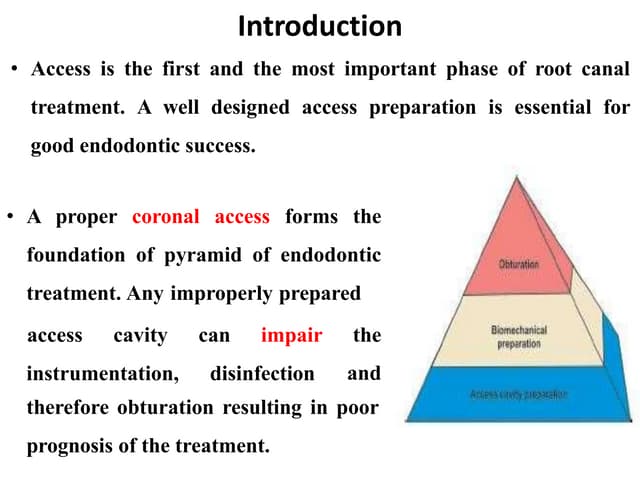 Krasner and Rankow’s Laws of Access Opening.pptx