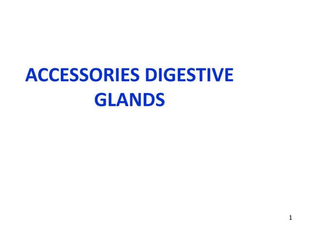 Gross anatomy and histology of liver | PPT