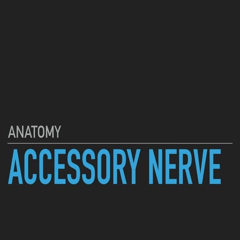 Accessory nerve | PDF