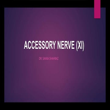 Accessory nerve xi | PPTX