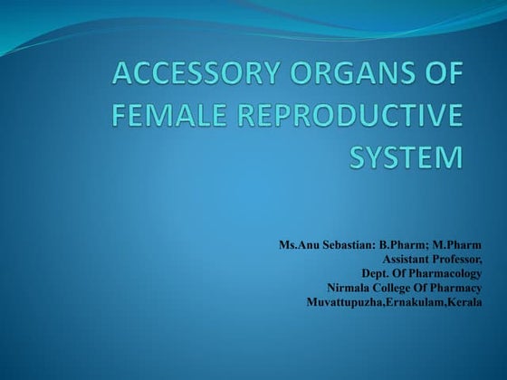 Anatomy Reproductive System | PDF