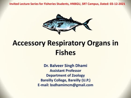 comparative anatomy of respiratory system of Reptiles, Birds and ...