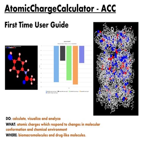 ACC: First Time Guide | PPT