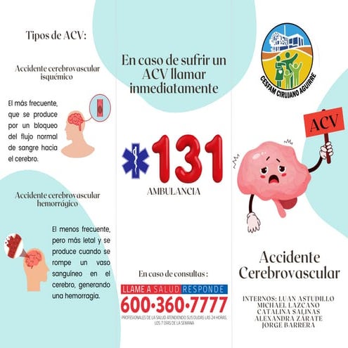 Comprehensive Guide to Stroke (ACV): Types, Symptoms, and Prevention | PDF