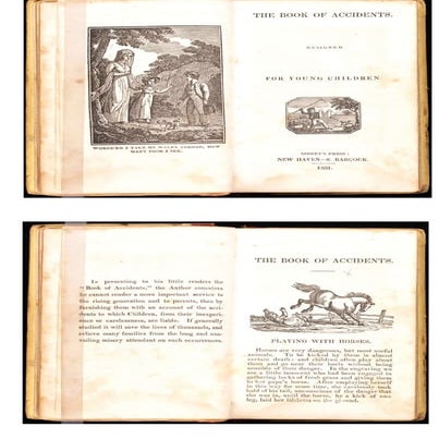 The Book of Accidents | PDF