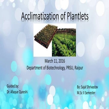 Acclimatization of plantlets | PPTX