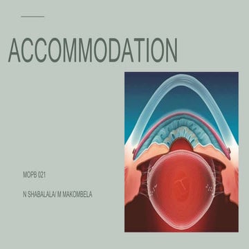 ACCOMMODATION 2.pptx