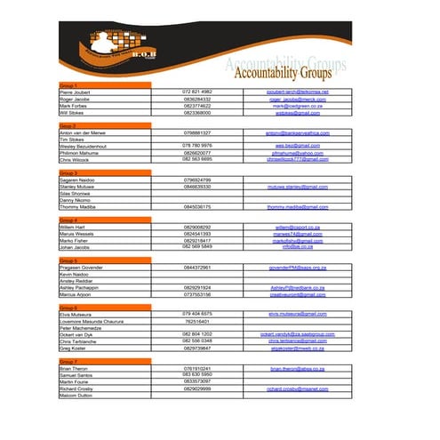 Accountability groups 2011 | PDF
