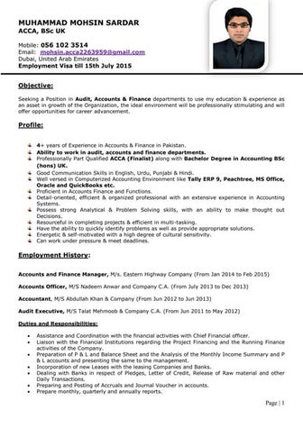 haseeb cv as accountant | PDF