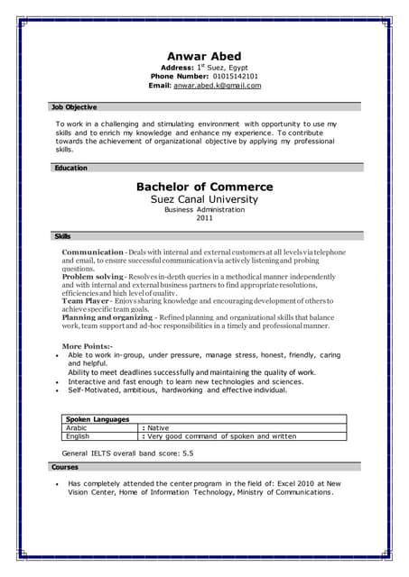 Laith Al-tabar CV, Accountant | PDF