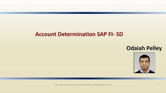 Guide to Configure Custom SD Output Types in S/4HANA Using BRF+ | PDF
