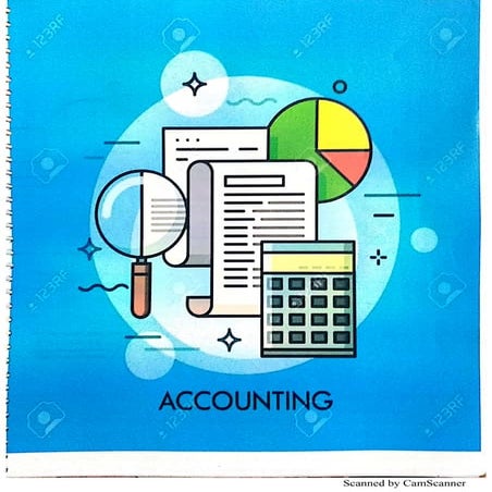 Accounts project class 12th | PDF