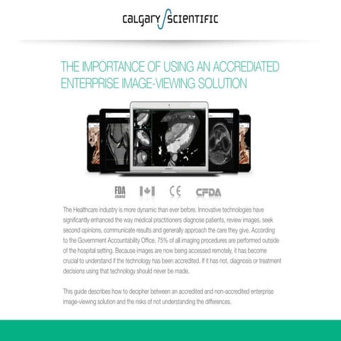 Guide Preview: The importance of using an accredited enterprise image ...