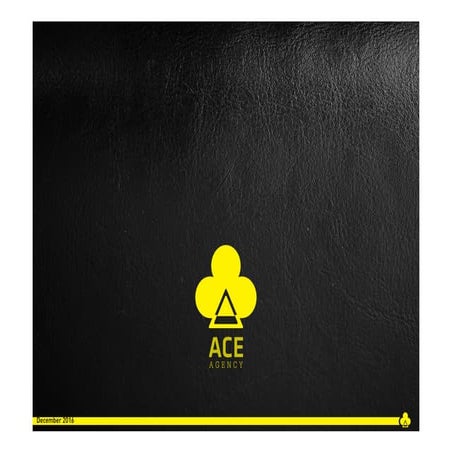 Ace agency credentials | PDF | Social Networking | Internet