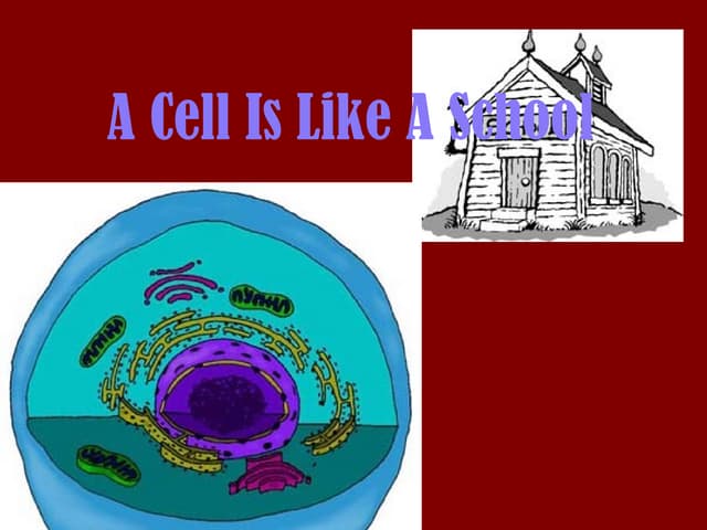 Cell Analogy Example | PPTX