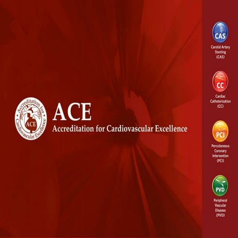 ACE: The First Experience with Process Reviews | PPT