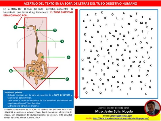 🧠LOS SITEMAS DEL CUERPO HUMANO-CUADERNILLO DE ACTIVIDADES🦴Esemeralda Te ...