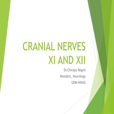 Acessory and Hypoglossal Nerves- Neurology | PPTX