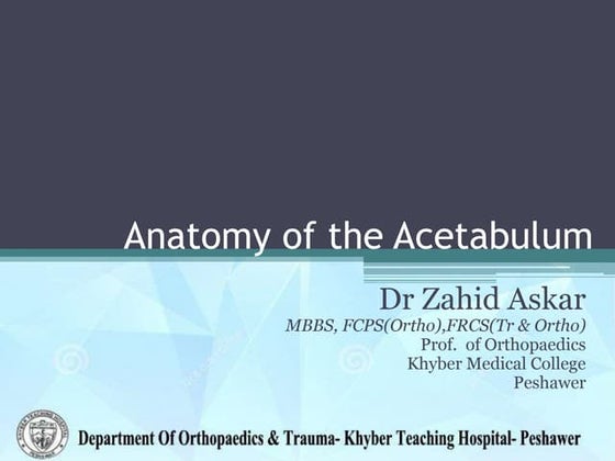 Various Pelvic lines | PDF