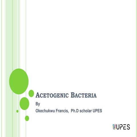 Acetogenic Bacteria.pptx