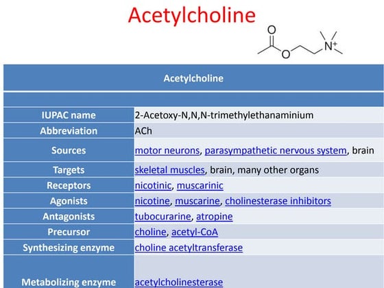 BIOSYNTHESIS OF ACETYLCHOLINE IN CNS AND CHOLINERGIC TRANSMISSION | PPT