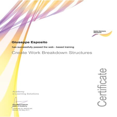 Certificate Create Work Breakdown Structures | PDF