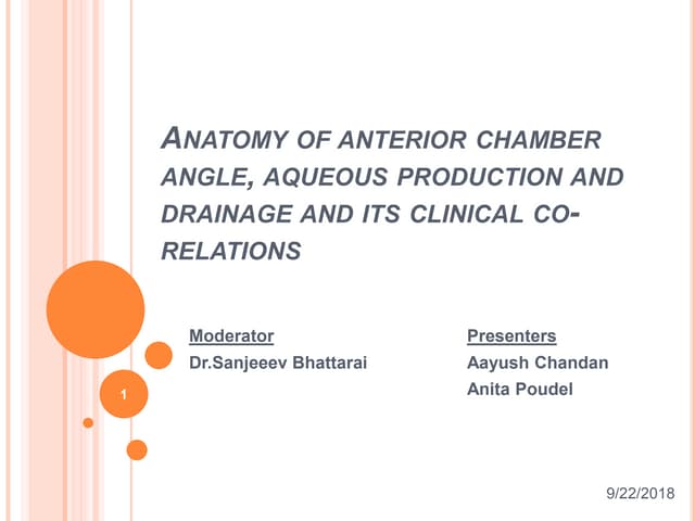 ANGLE ANATOMY | PPTX