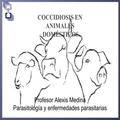 Coccidiosis en Animales Domésticos | PDF