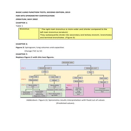 Basic Lung Function Test | PDF