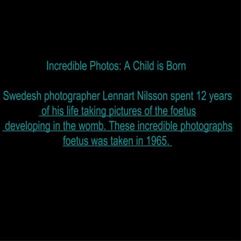In Photos how a child is born | PPS