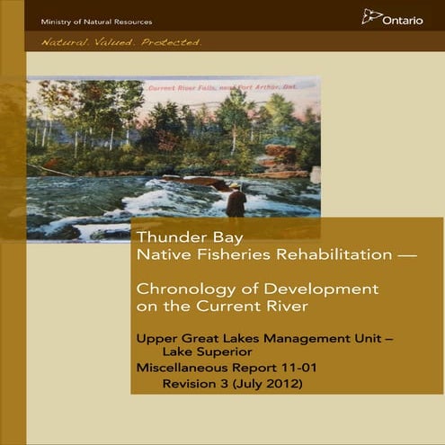 A chronology of development on the current river | PDF
