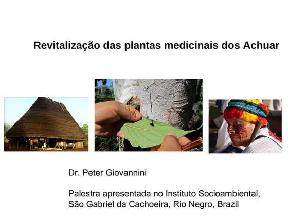 Surviving the jungle: Berlin | PPT