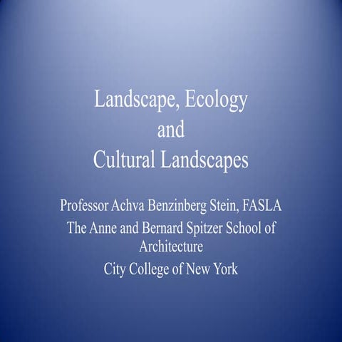 Apresentação Achva Stein | PDF