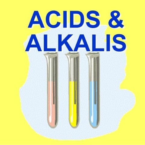 Acids and Alkalis | PPTX