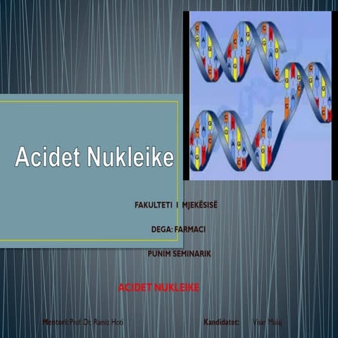 Acidet nukleike | PPTX
