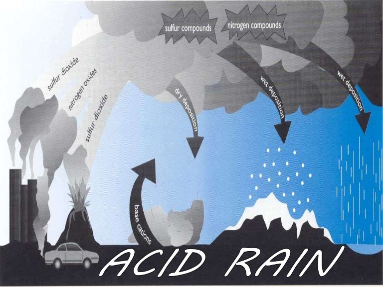 Acid Rain Poster Ideas