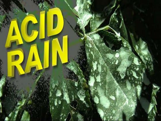 ACID RAIN PPT | PPTX