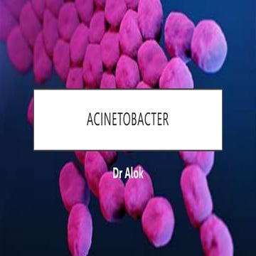 Acinetobacter.pptx