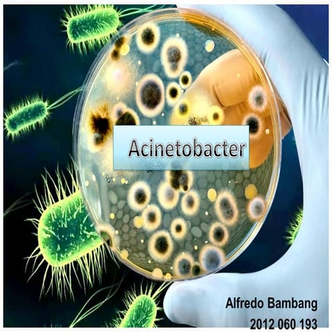BIOPROSPECTING WITH ACINETOBACTER BAYLYI ADP1 Final