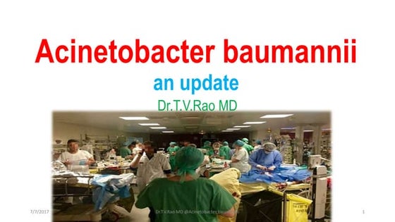 Acinetobacter | PPT